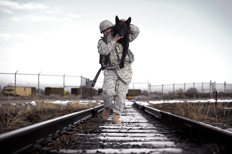 Explosive detection dog trainer