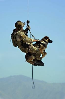 Explosive detection dog operations QA manager